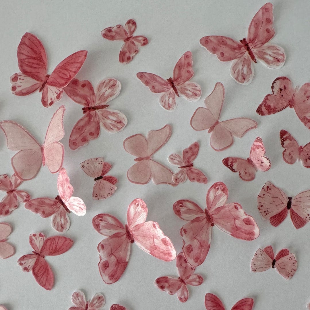 Coral Coloured Pre-cut Edible Wafer Butterflies - Etsy