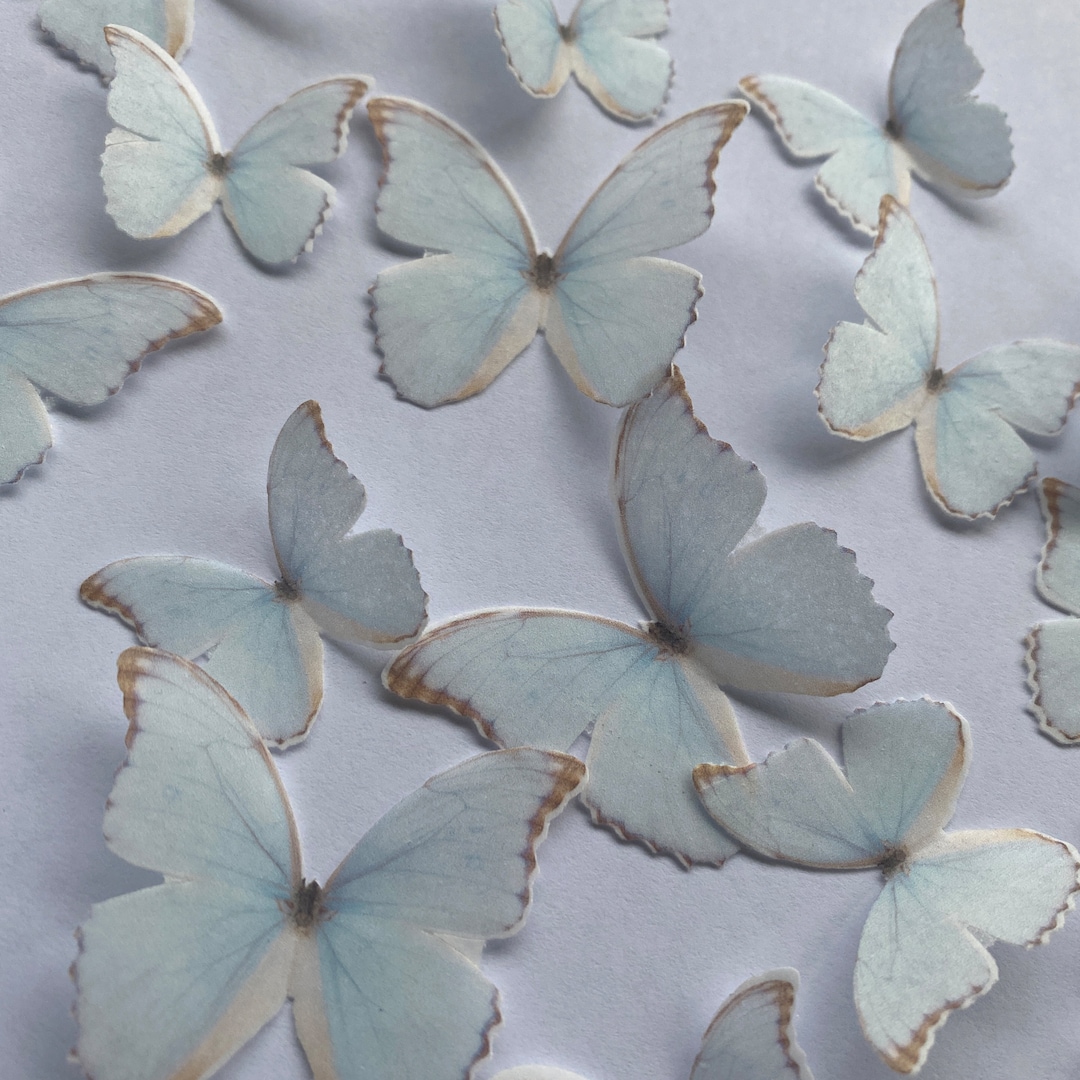 Pale Blue Pre-cut Edible Wafer Butterflies - Etsy