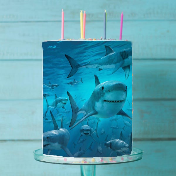 Cake Wrap - Etsy