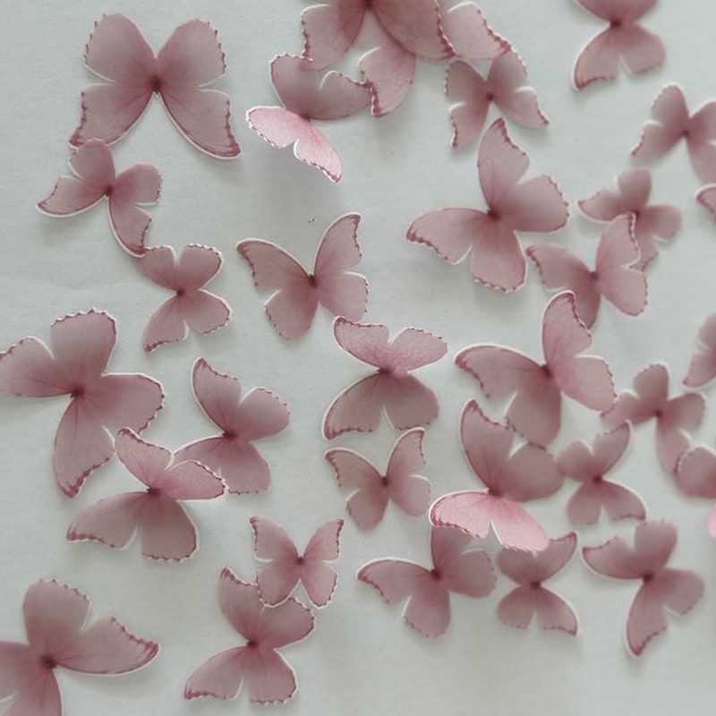 Wafer Paper Butterflies - Etsy