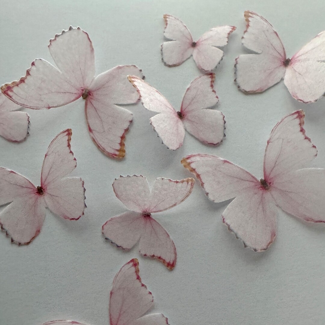 Light Pink Pre-cut Edible Wafer Paper Butterflies - Etsy