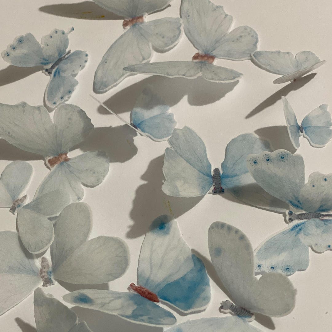 Light Blue Pre-cut Edible Wafer Butterflies - Etsy