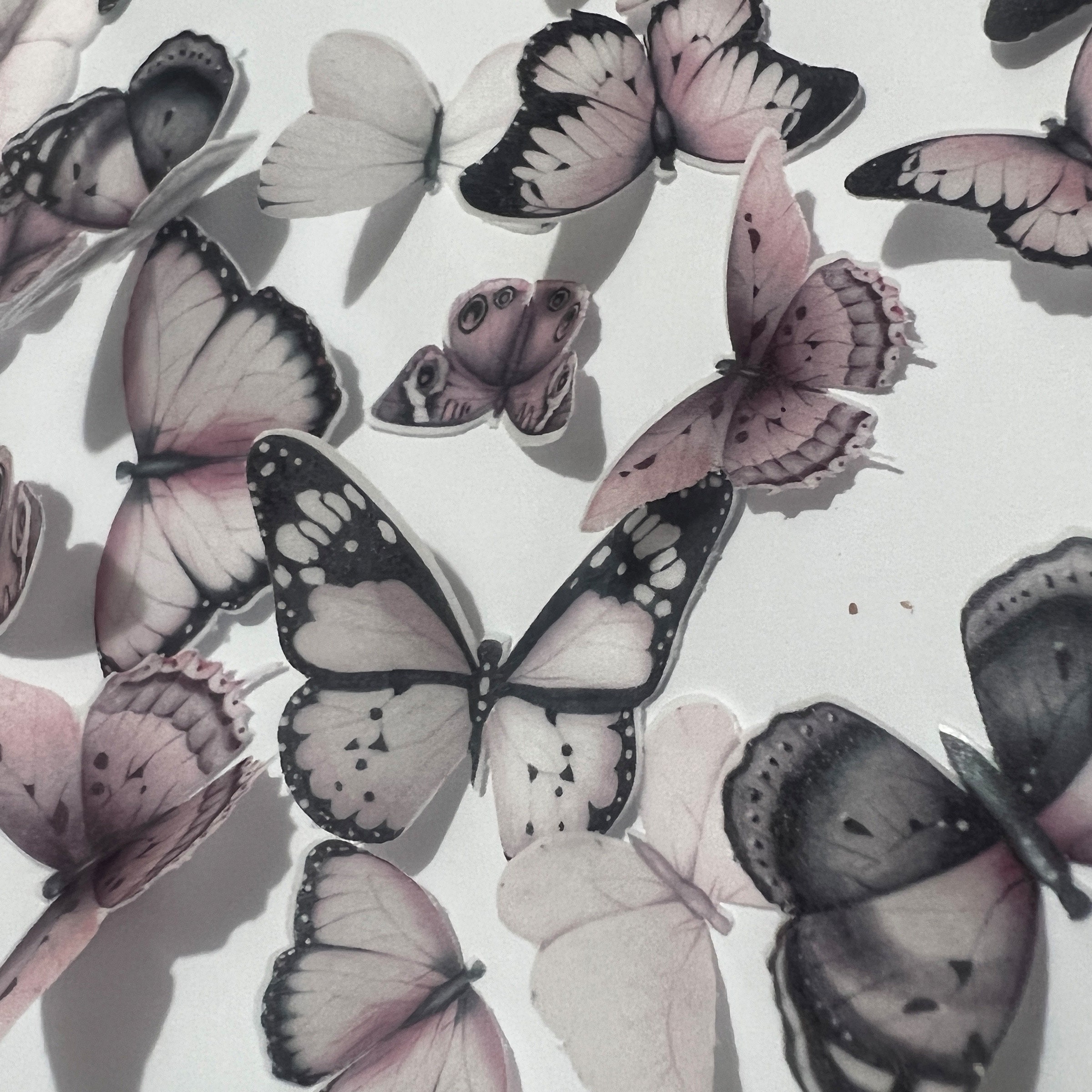 Pink Pre-cut Edible Wafer Butterflies - Etsy
