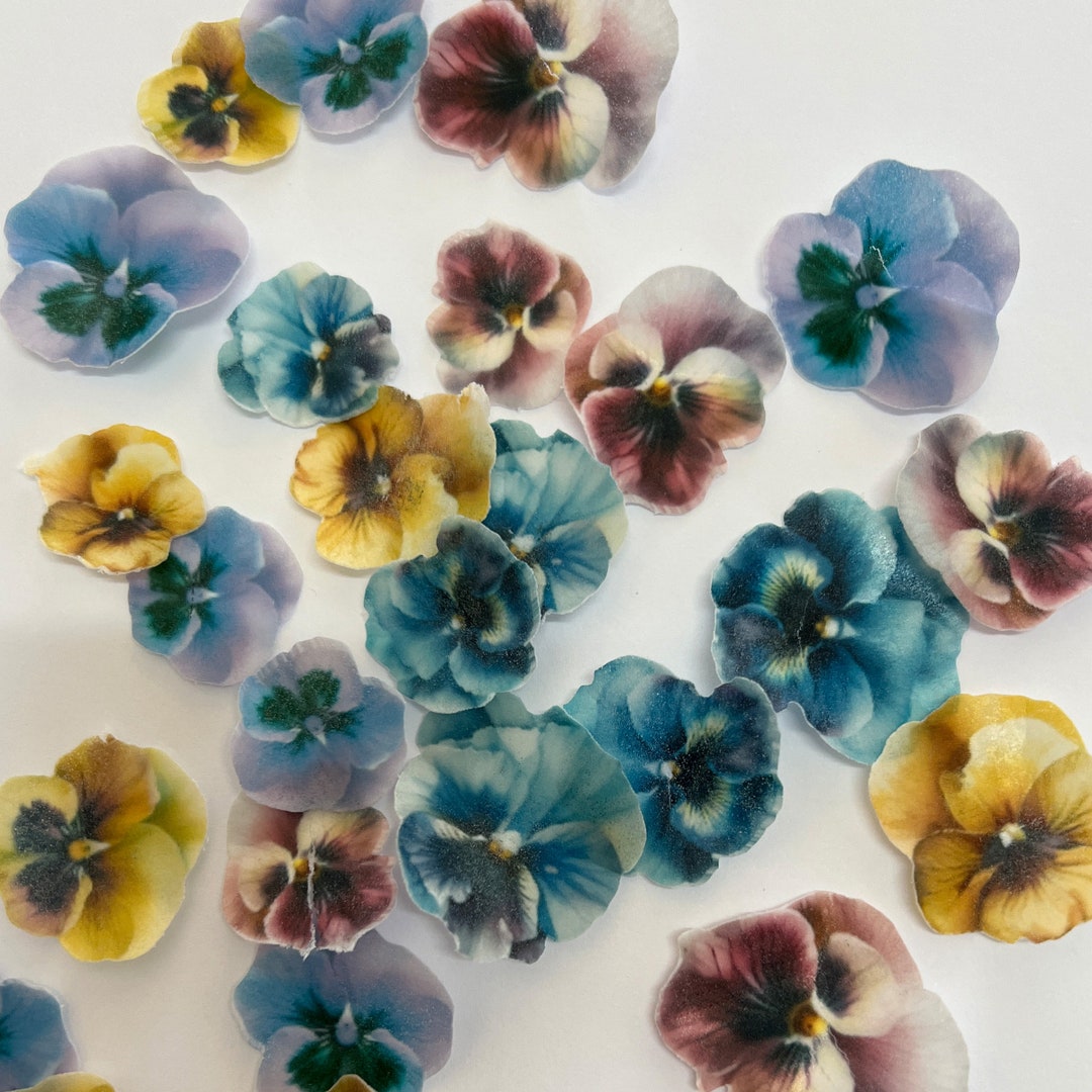 Pre-cut Edible Wafer Pansy Pansies Flowers - Etsy