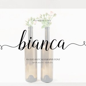 Handwritten Font, Digital Font, Calligraphy Font, Font Download, Script ...