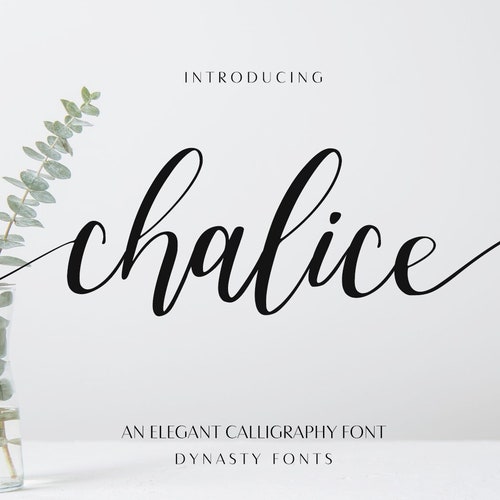 Digital Font Font Download Calligraphy Font Handwritten - Etsy