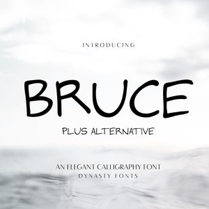 Handwritten Font, Digital Font, Calligraphy Font, Font Download, Script ...