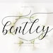 Bentley Calligraphy Font: Modern Script (digital Download) - Etsy