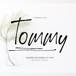 Tommy Script Font: Modern Calligraphy Font (digital Download) - Etsy