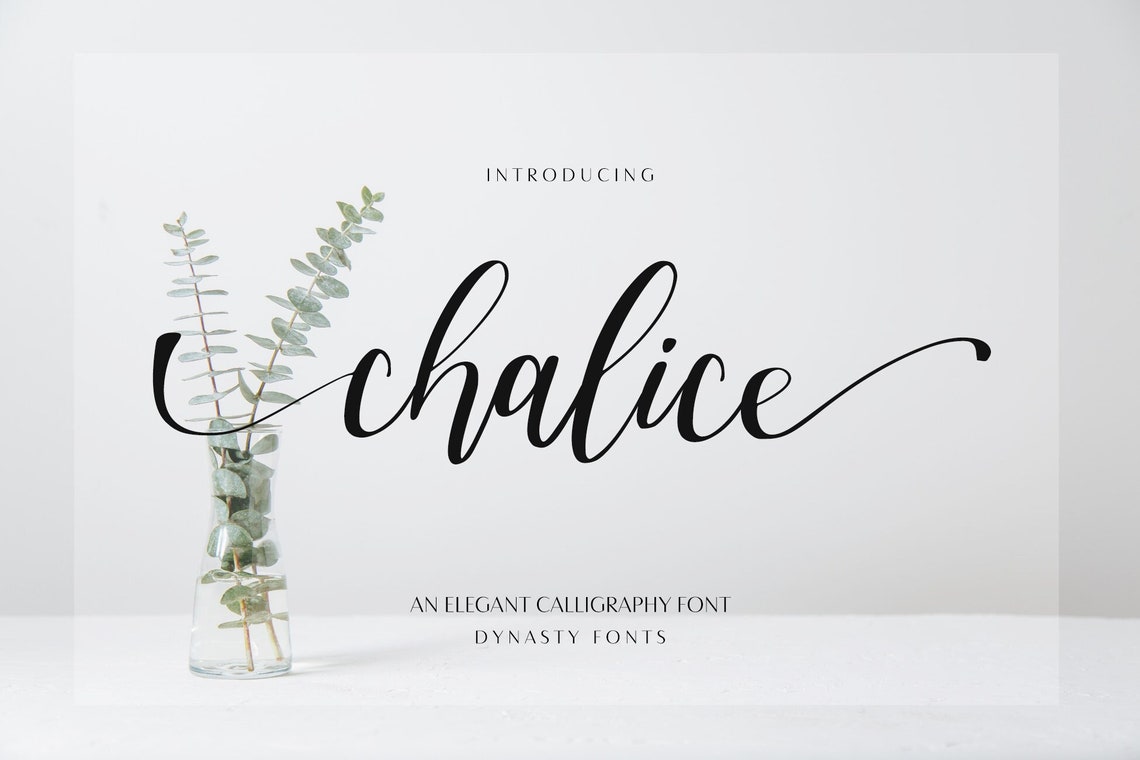 Digital Font, Font Download, Calligraphy Font, Handwritten Font, Script ...