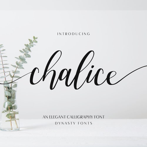 Digital Font Font Download Calligraphy Font Handwritten - Etsy