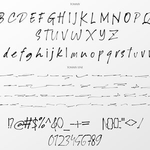 Tommy Script Font: Modern Calligraphy Font (digital Download) - Etsy