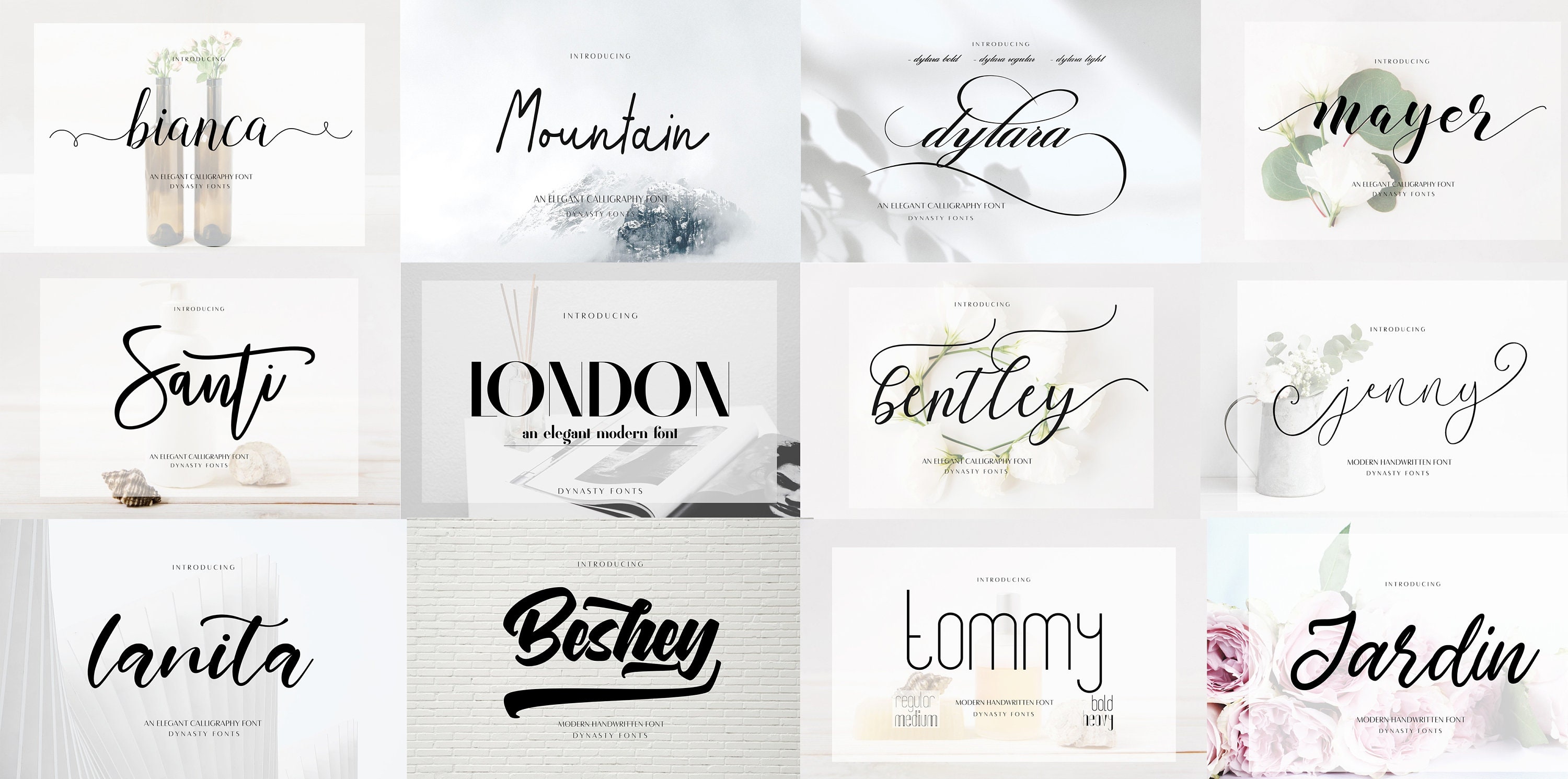 50 Modern Calligraphy Fonts Bundle: Handwritten Procreate Fonts (TTF ...