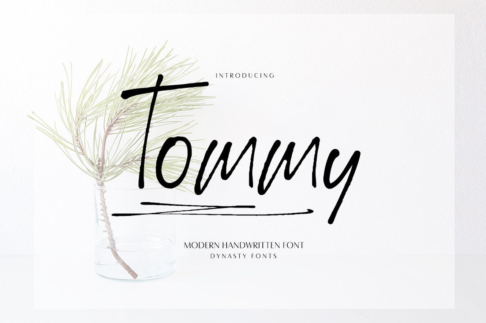 Tommy Script Font: Modern Calligraphy Font (digital Download) - Etsy