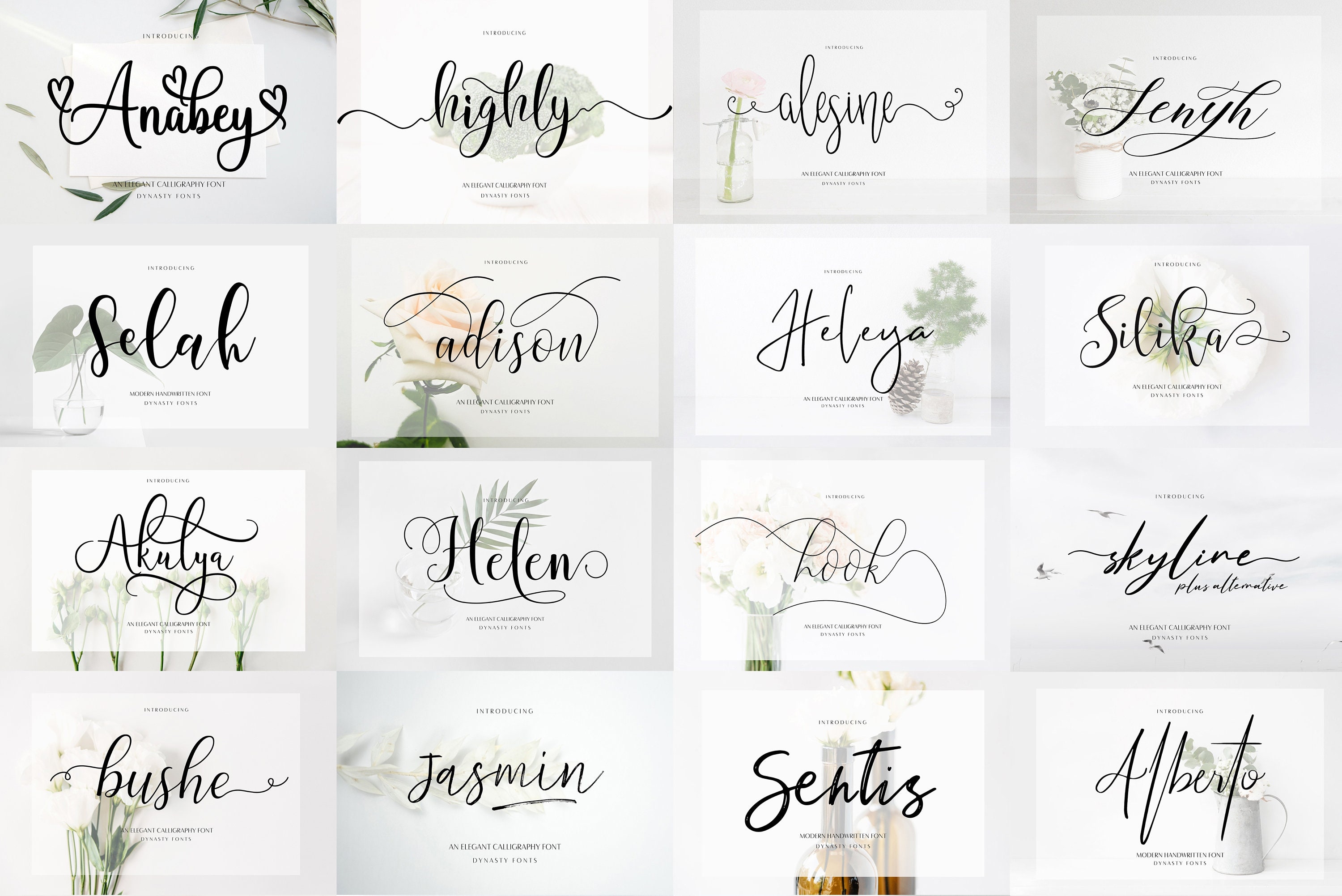 50 Modern Calligraphy Fonts Bundle: Handwritten Procreate Fonts (TTF ...