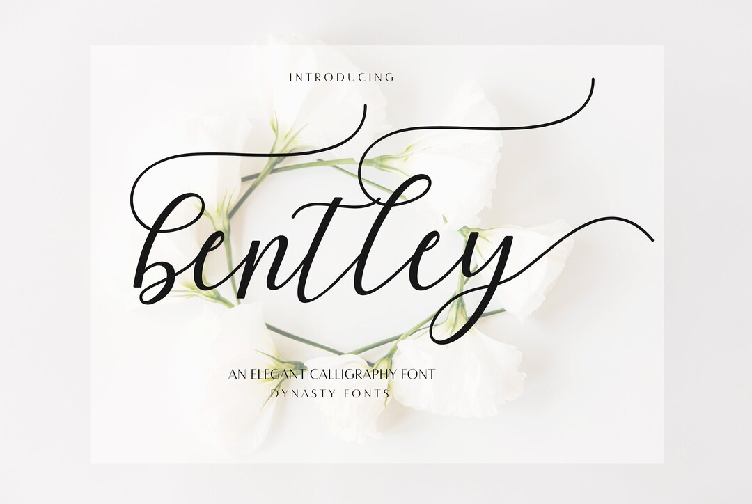 Bentley Calligraphy Font: Modern Script (digital Download) - Etsy