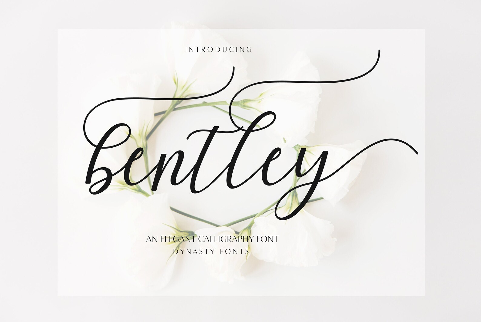 Bentley Calligraphy Font: Modern Script (digital Download) - Etsy