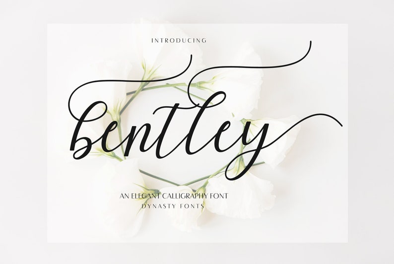 Bentley Calligraphy Font: Modern Script (digital Download) - Etsy