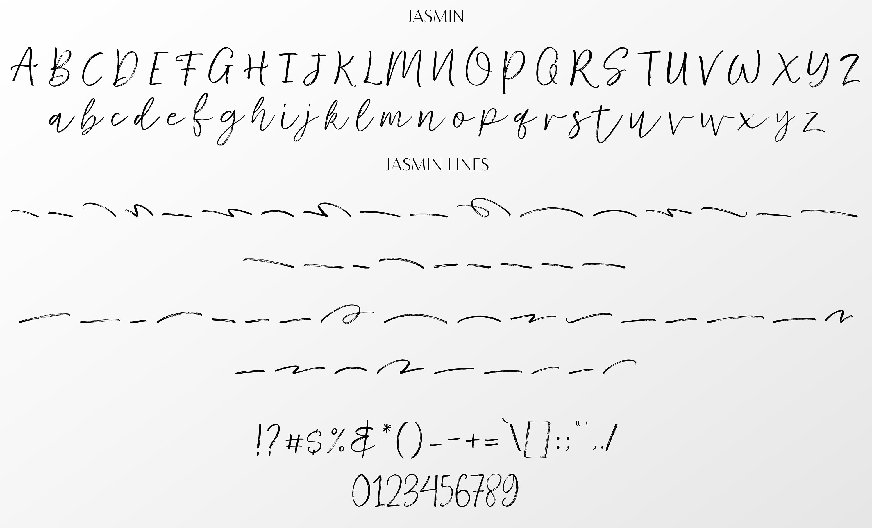 Jasmin Script Font: Modern Calligraphy Wedding Font (digital Download ...