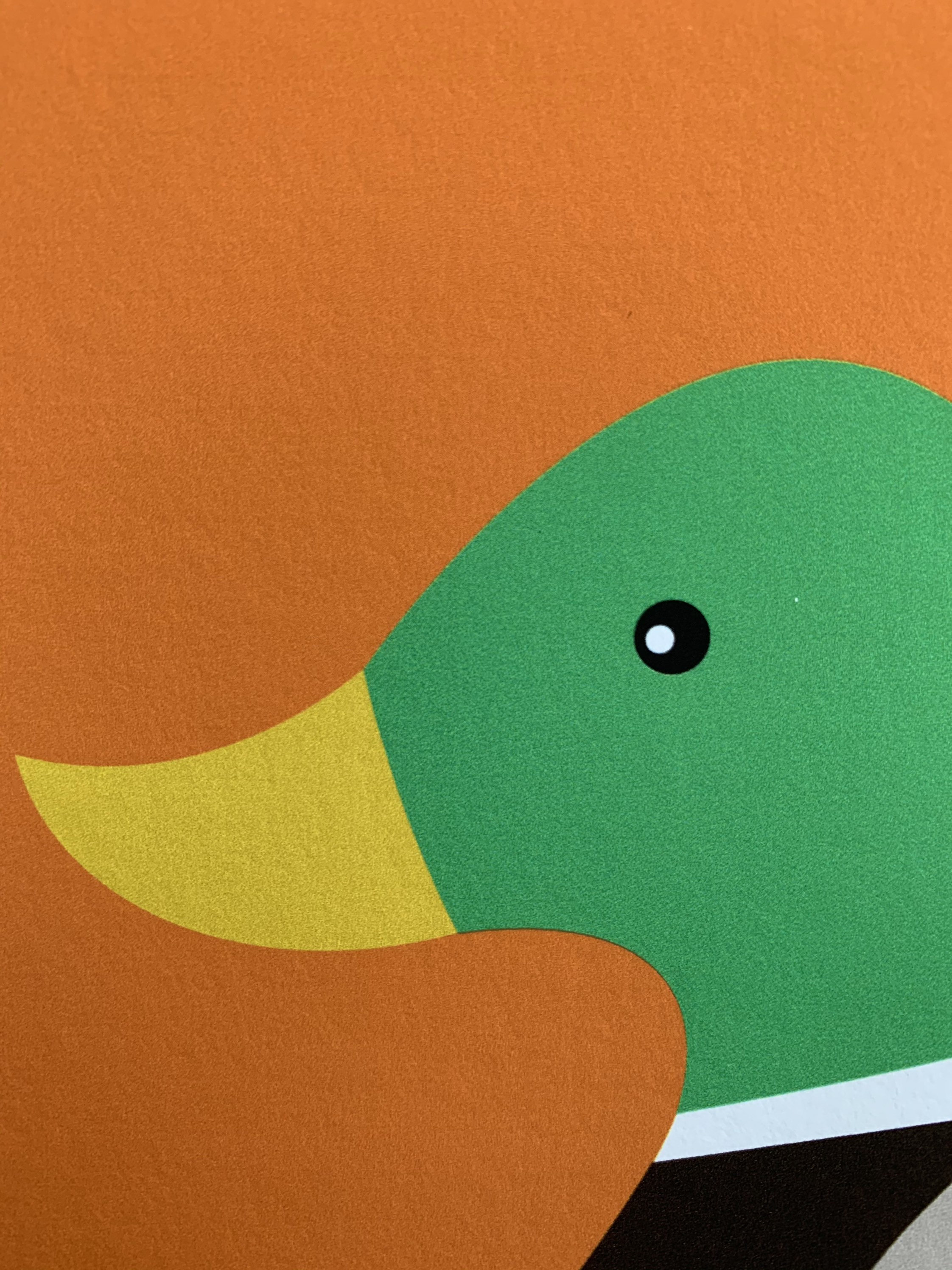 Duck print, nursery wall art, Duck art print, Bird wildlife ...