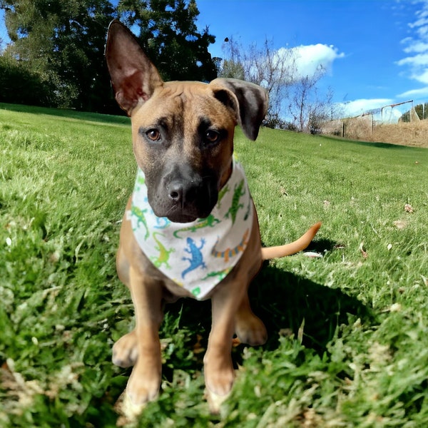 Chartreuse Scarf - Etsy