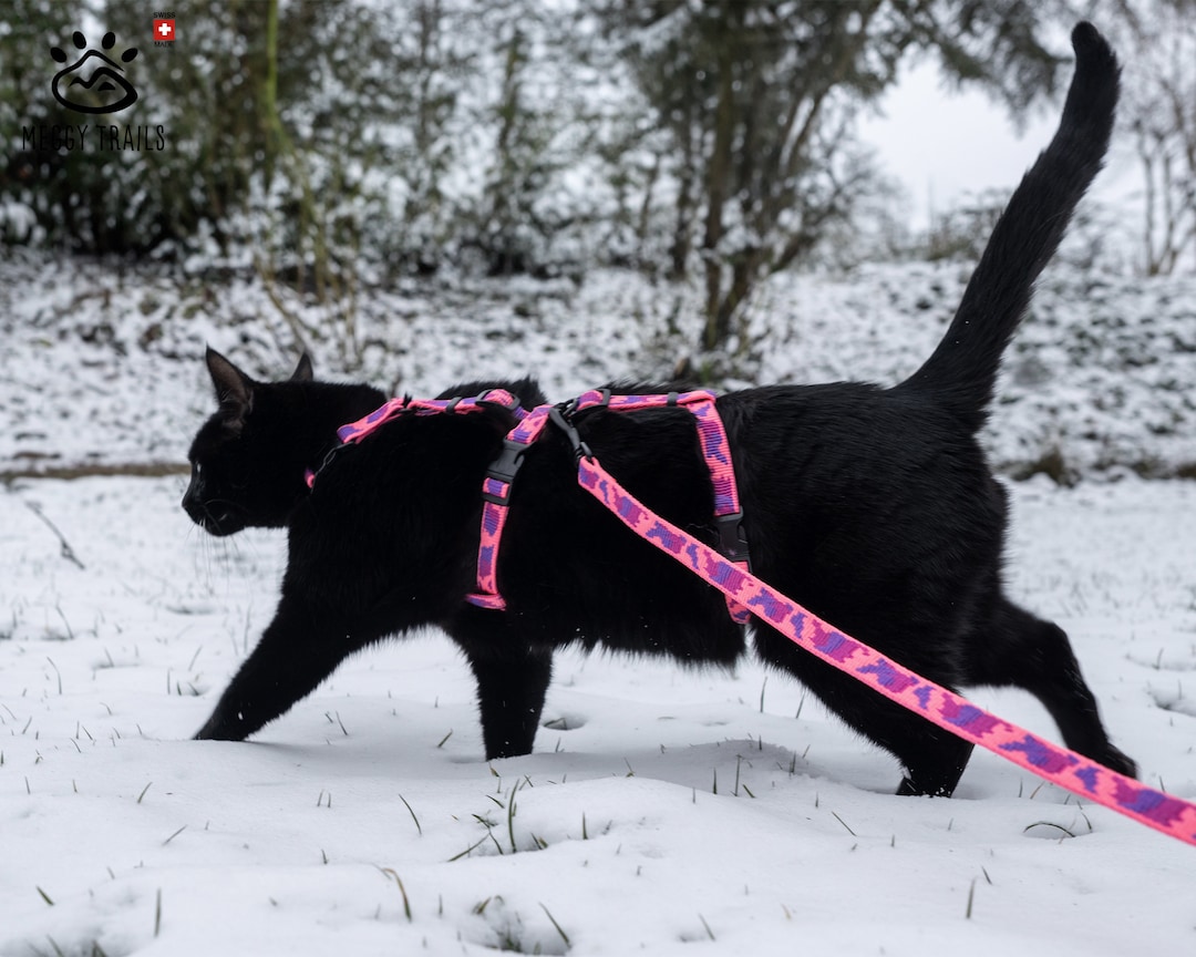 Adventure Cat Harness and Leash: Escape Proof Camouflage 3-strap Design ...