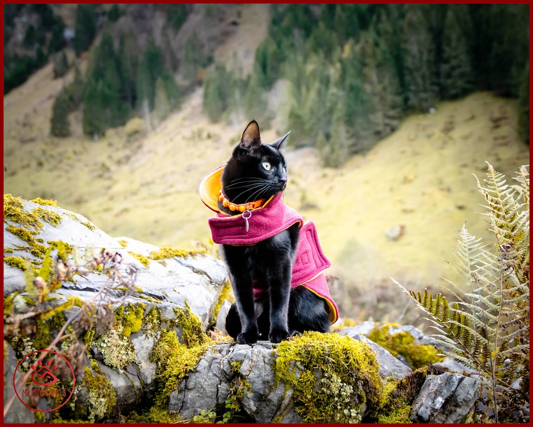 WARM CAT JACKET, Polar Fleece Cat Jacket, Warm Cat Clothes, Winter ...