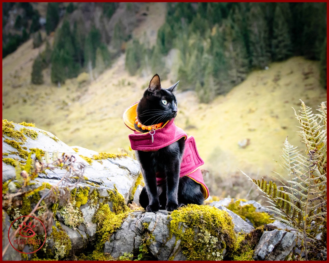 WARM CAT JACKET Polar Fleece Cat Jacket Warm Cat Clothes - Etsy