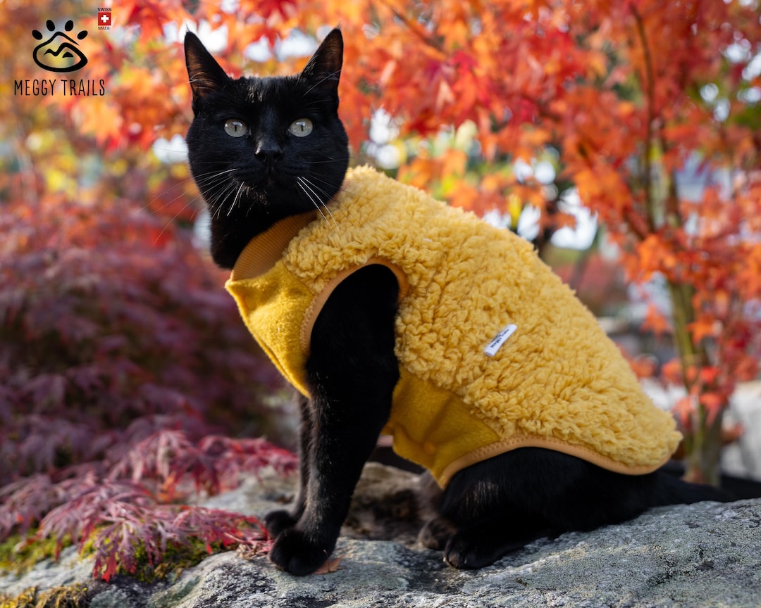 Handmade Teddy Fleece Cat Vest – Warm Winter Outerwear, Leash Opening ...