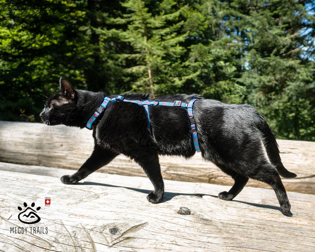 Escape Proof Cat Harness: Adjustable, Lightweight and Comfortable ...