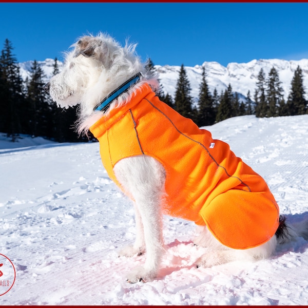 Fluorescent Dog Jacket - Etsy