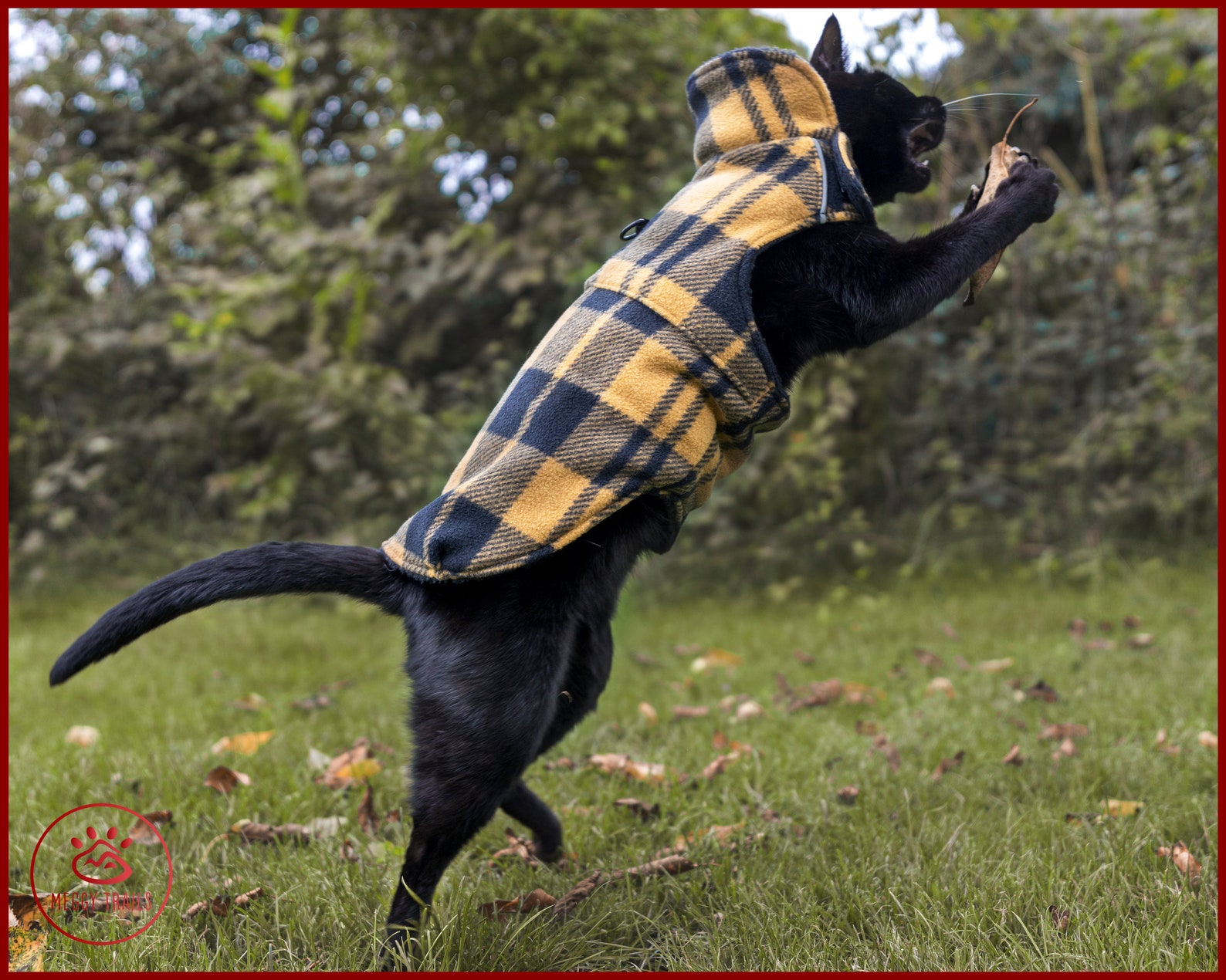 Plaid Fleece Cat Winter Jacket: Double Layer Polar Fleece - Etsy UK