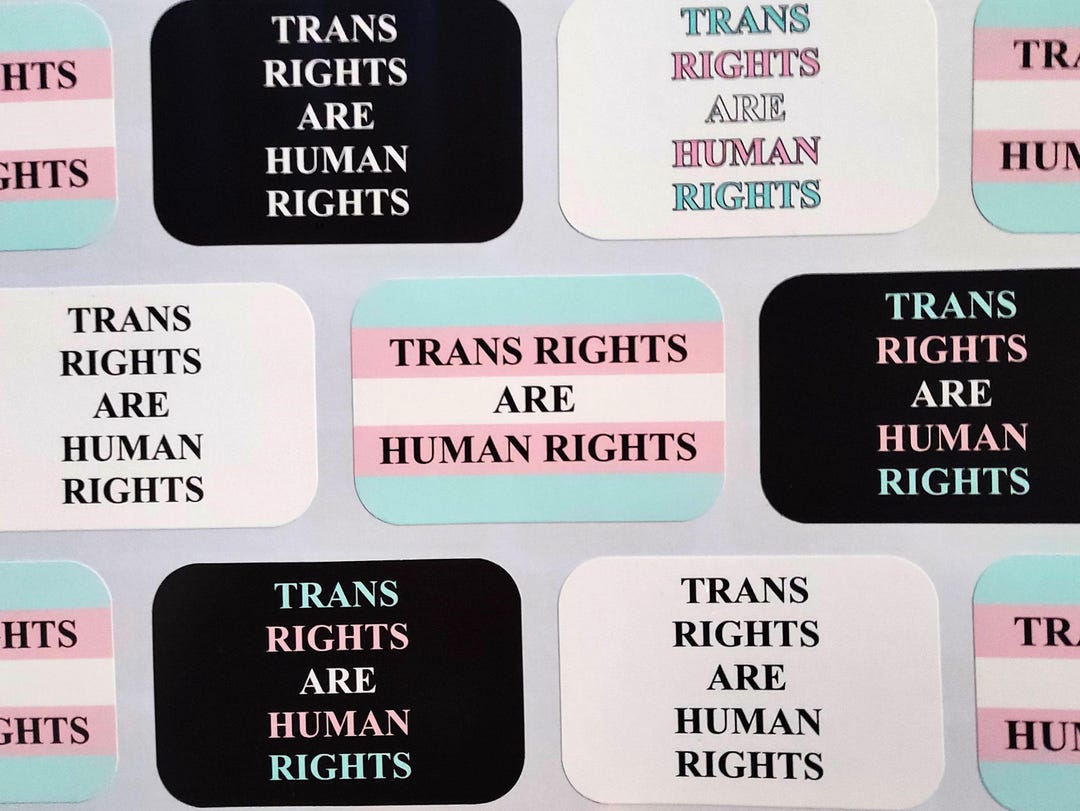2x3in Stickers - LGBTQ+ Handmade Trans Rights Vinyl Stickers - Etsy