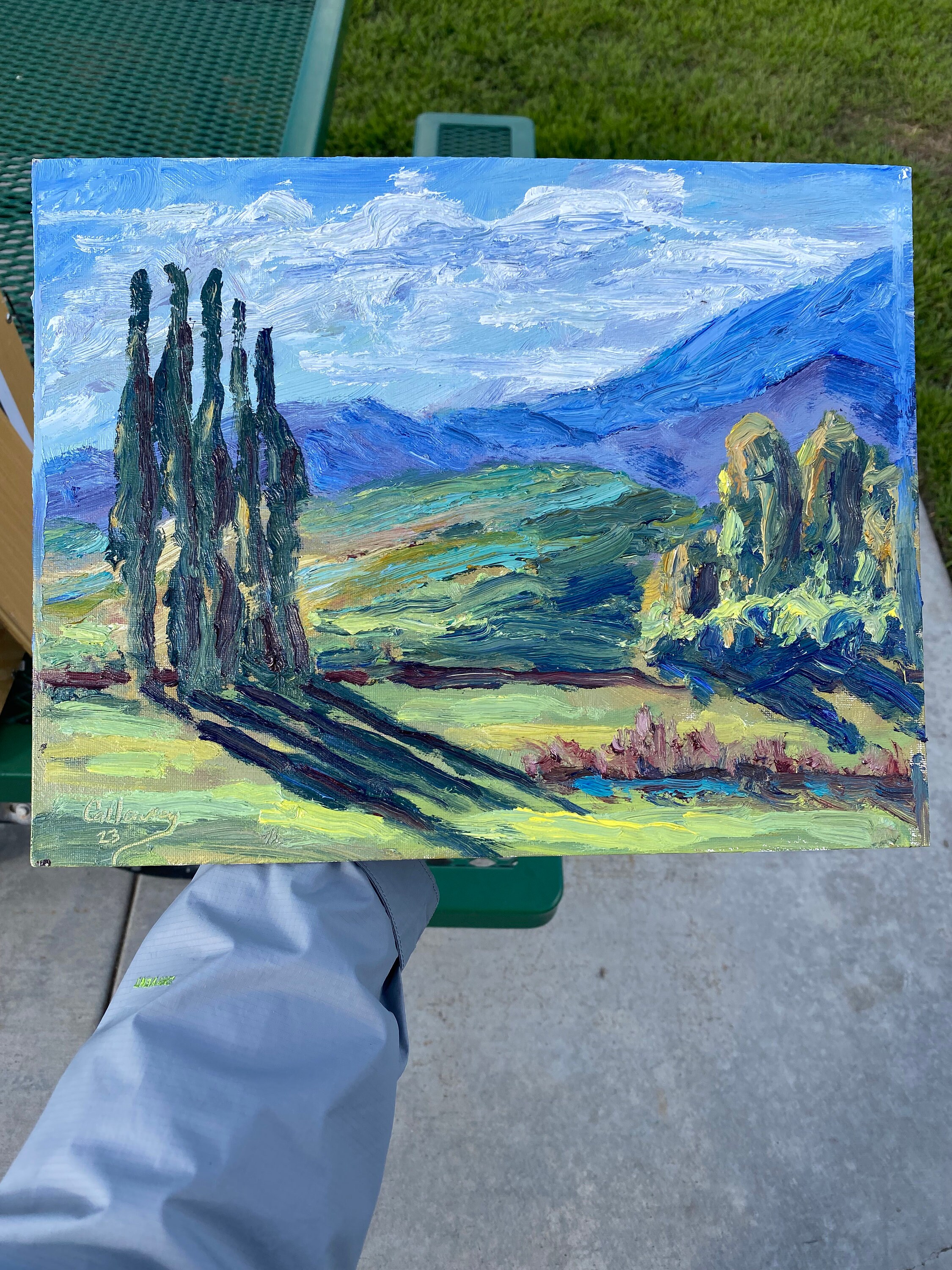 11x14 Original Oil Painting Enpleinair Riverside Cypress Shadows - Etsy