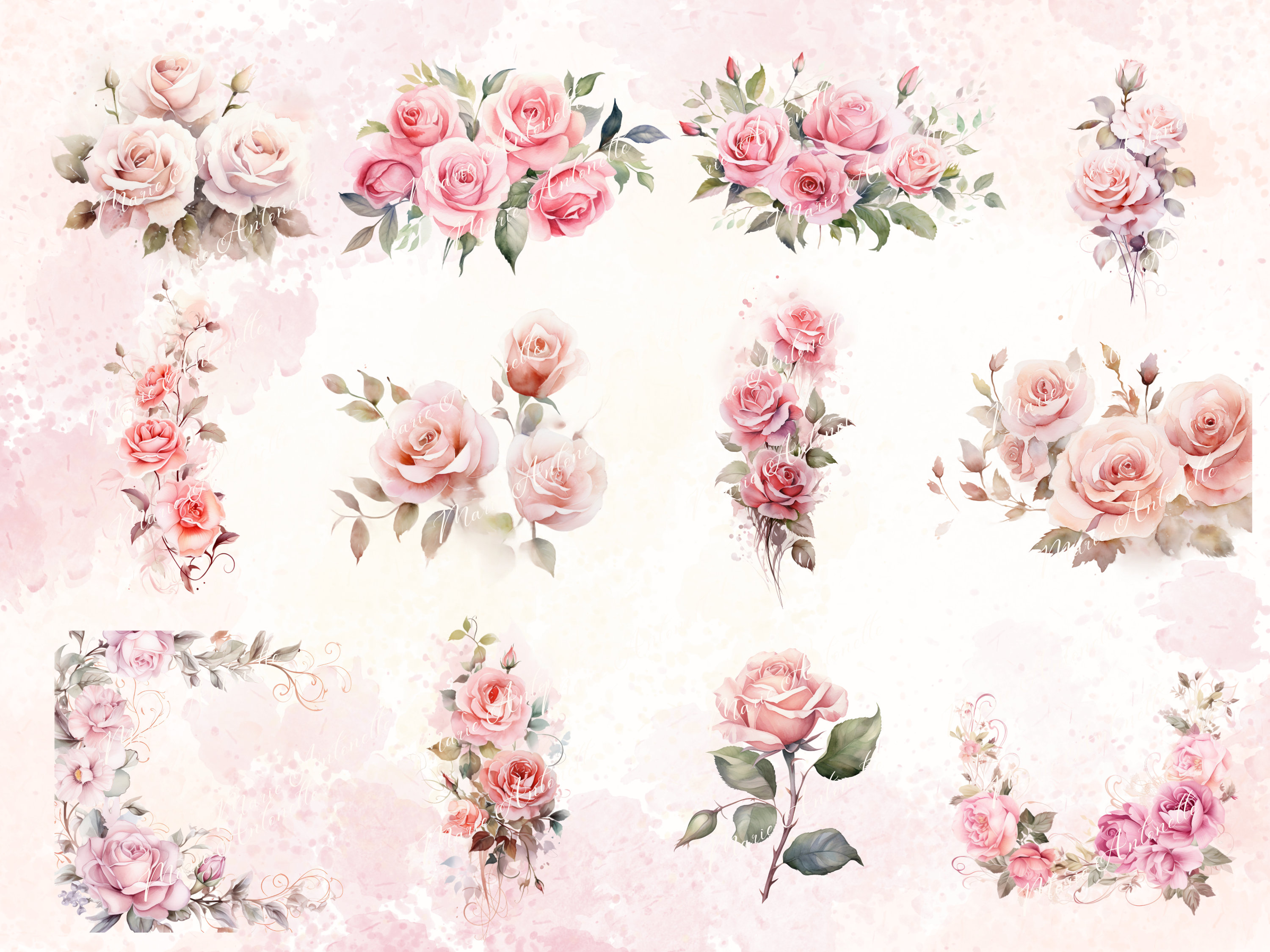 Blush Pink Roses Watercolor Clipart Digital Clipart Bundle - Etsy