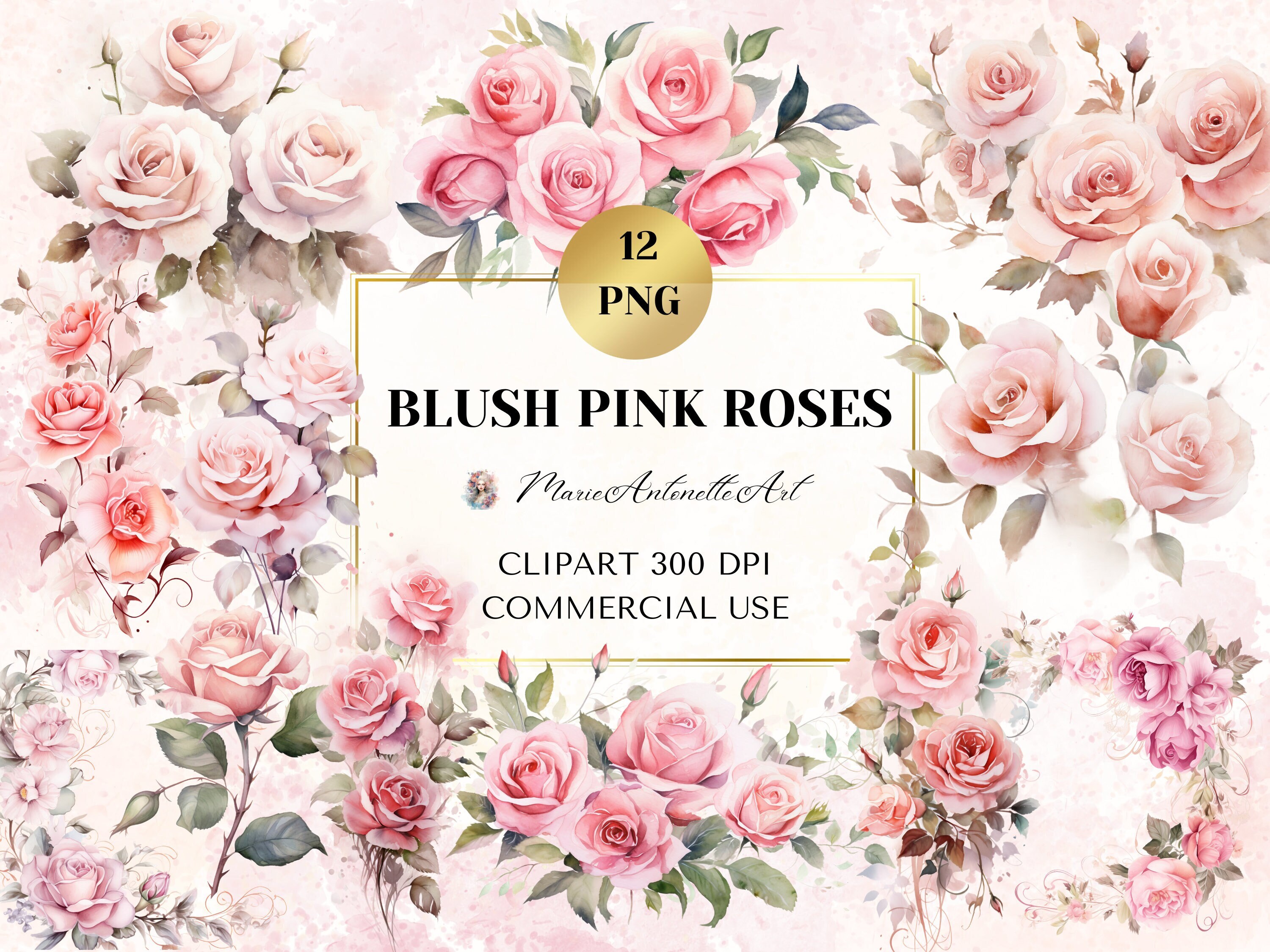 Blush Pink Roses Watercolor Clipart Digital Clipart Bundle - Etsy