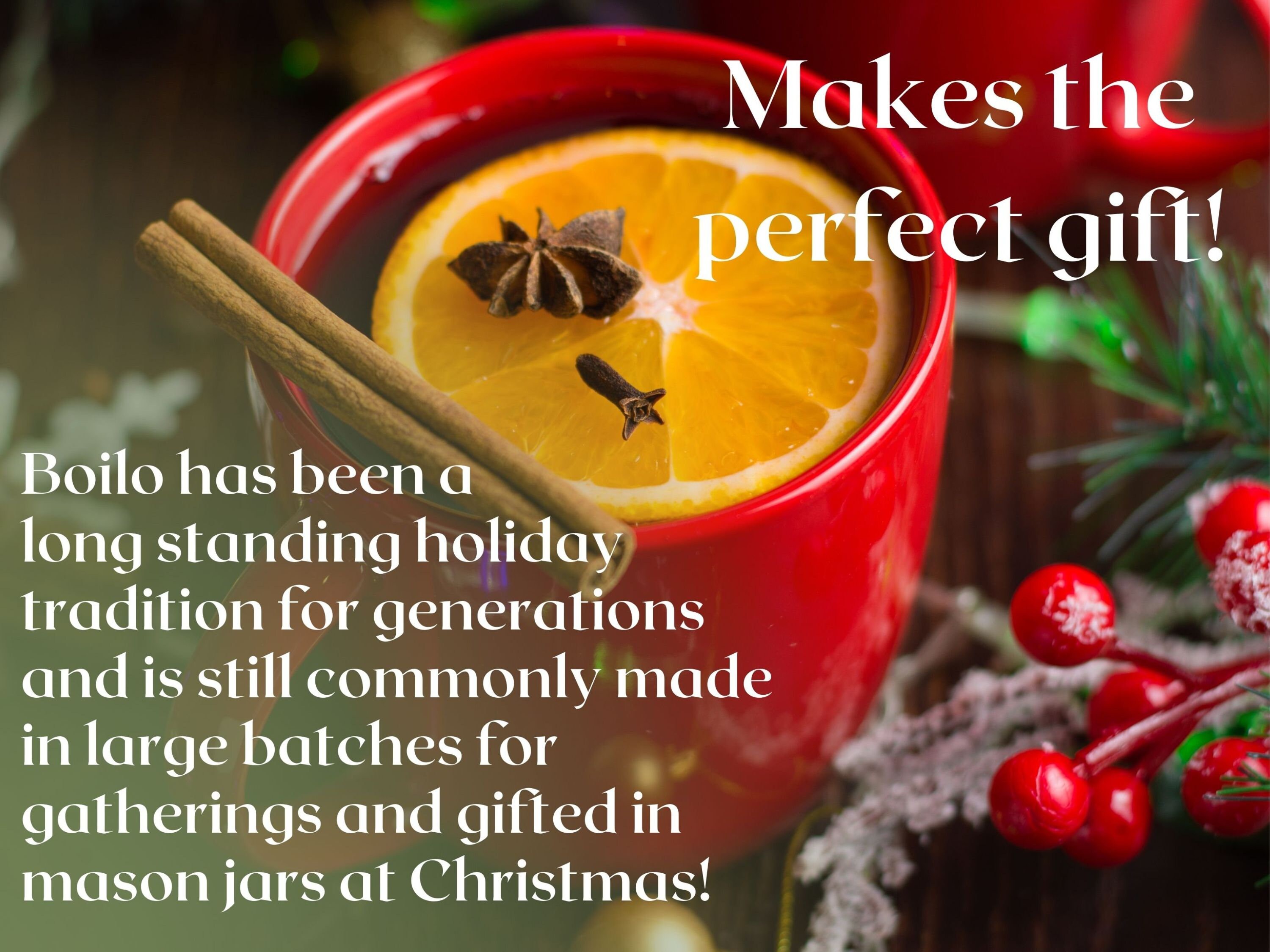 BOILO SPICE BLEND, Unique Beverage Spice Blend to Make Traditional ...