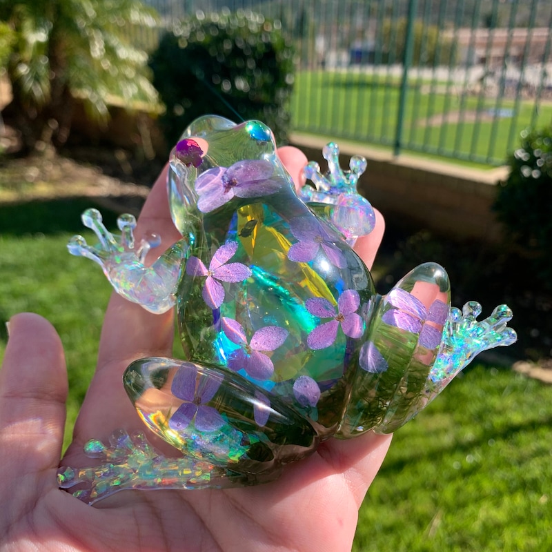 Rainbow Frog Yard - Etsy