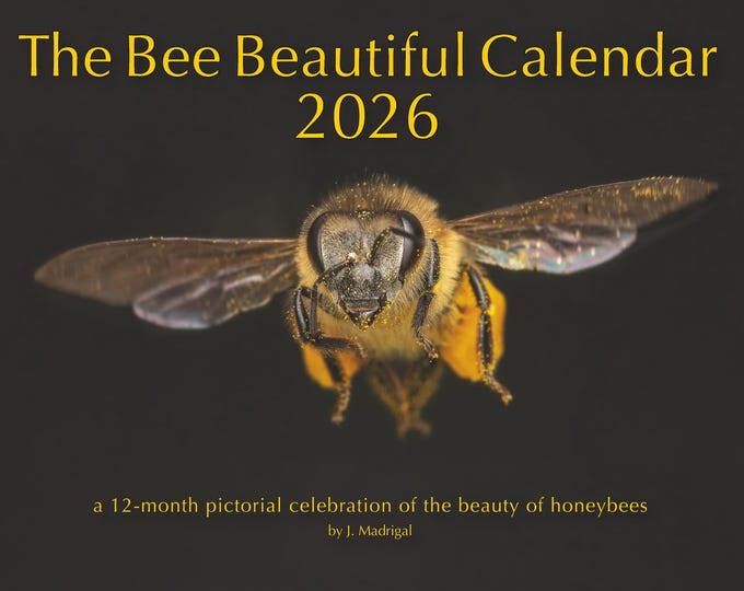 The Bee Beautiful Calendar 2026 - a 12-month Wall Calendar Featuring ...