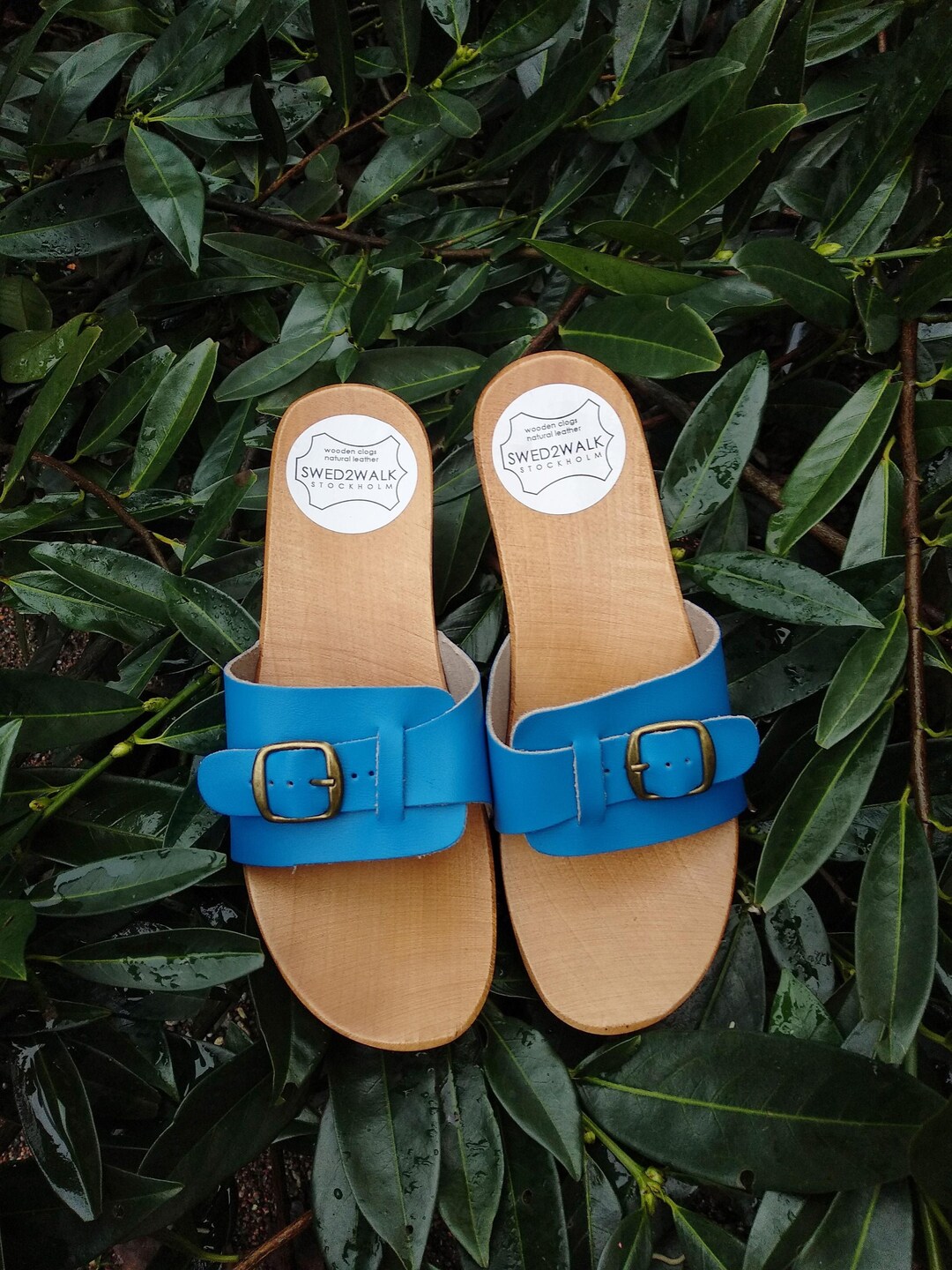 Swedish Clogs - MIA - Sandals Moccasins Wooden Women Clogs Leather Clog ...