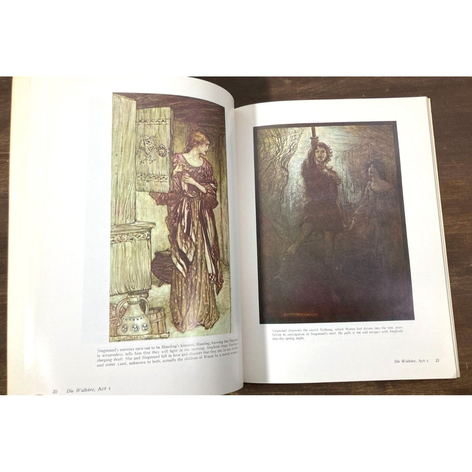 ARTHUR RACKHAM'S Color Illustrations for WAGNER'S ring 1979 Dover ...