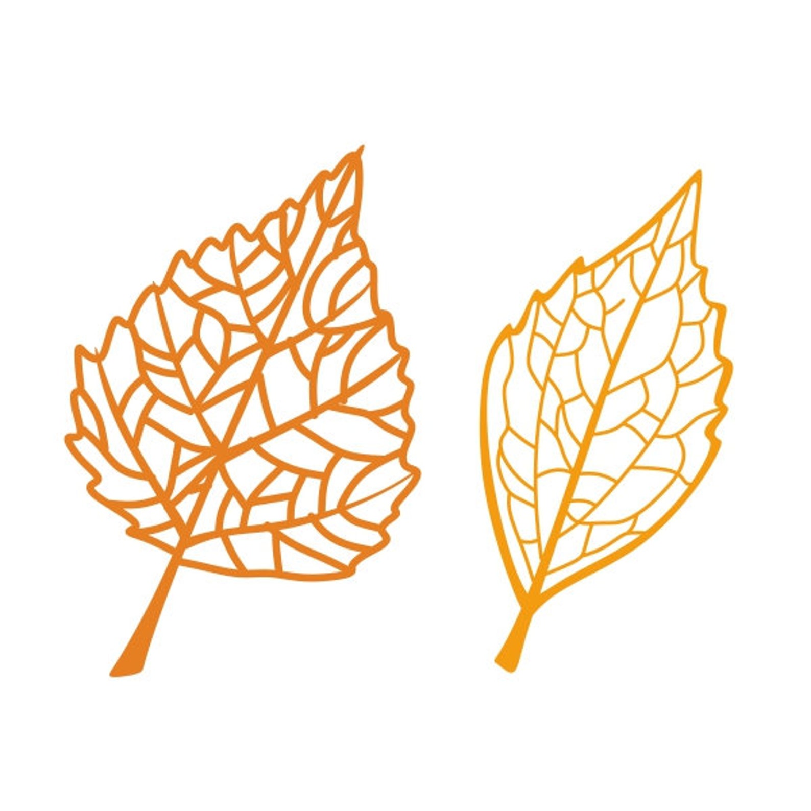 Leaf Pack Cuttable Design PNG DXF SVG & Eps File for - Etsy
