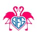 Flamingo Frame Cuttable Design PNG DXF SVG & Eps File for - Etsy
