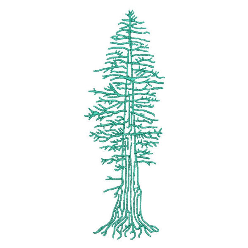 Pacific Northwest Washington State Tree Embroidery Design - Etsy