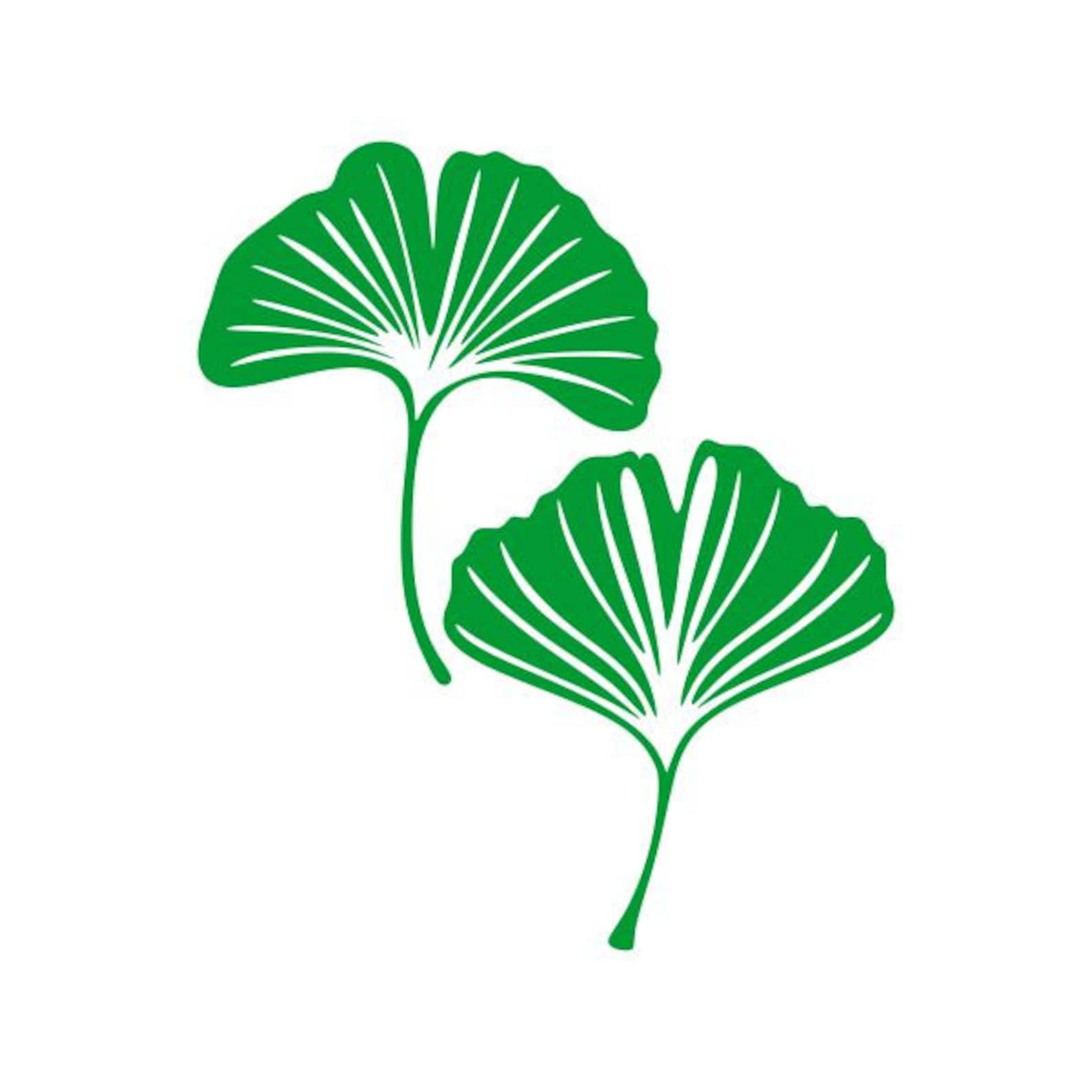 Gingko Leaves Cuttable Design PNG DXF SVG & Eps File for | Etsy
