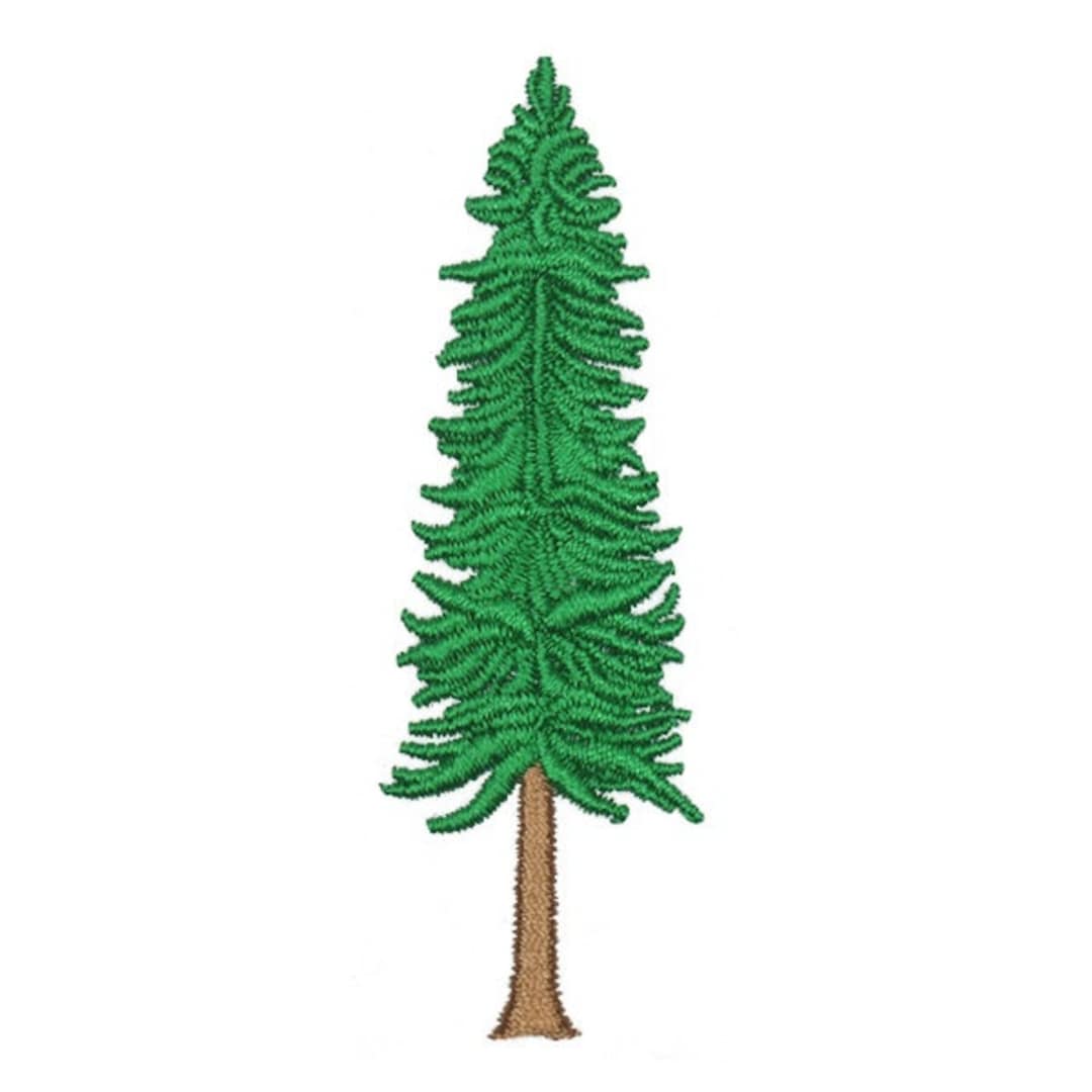 Redwood Tree Embroidery Design Instant Download - Etsy