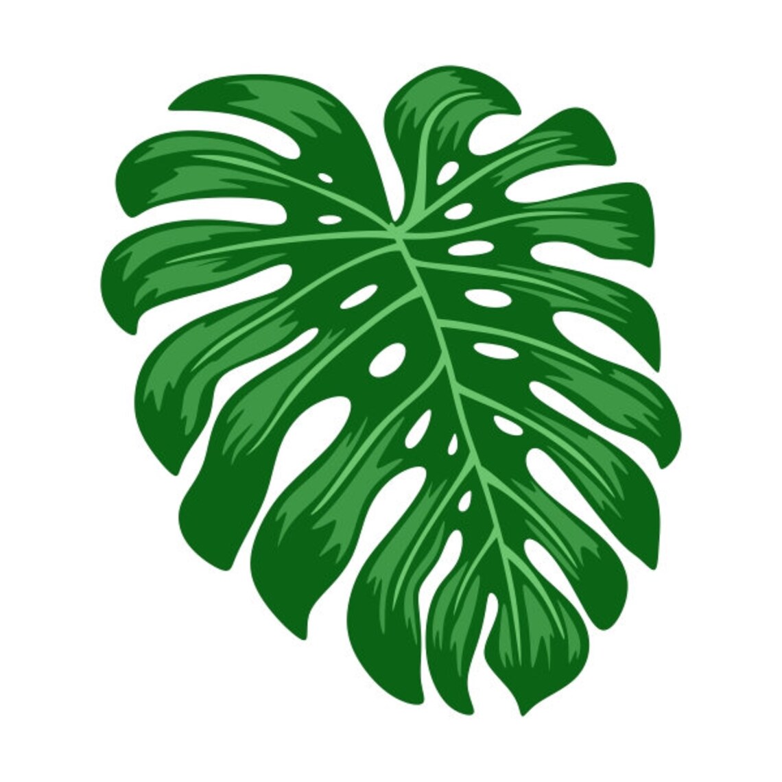 Monstera Leaves Cuttable Design PNG DXF SVG & Eps File for - Etsy Canada