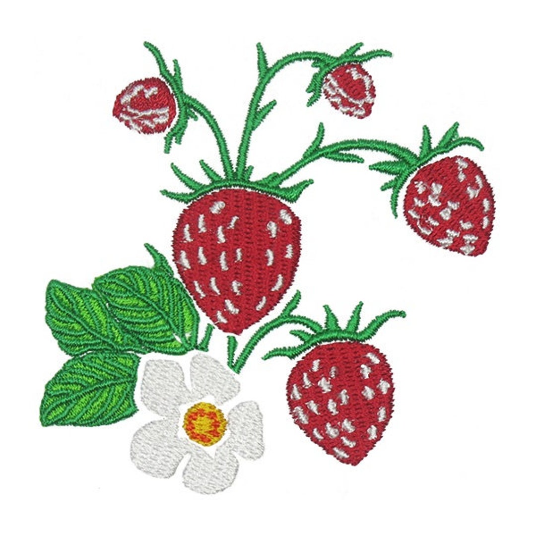 Strawberry Flower Embroidery Design Instant Download - Etsy