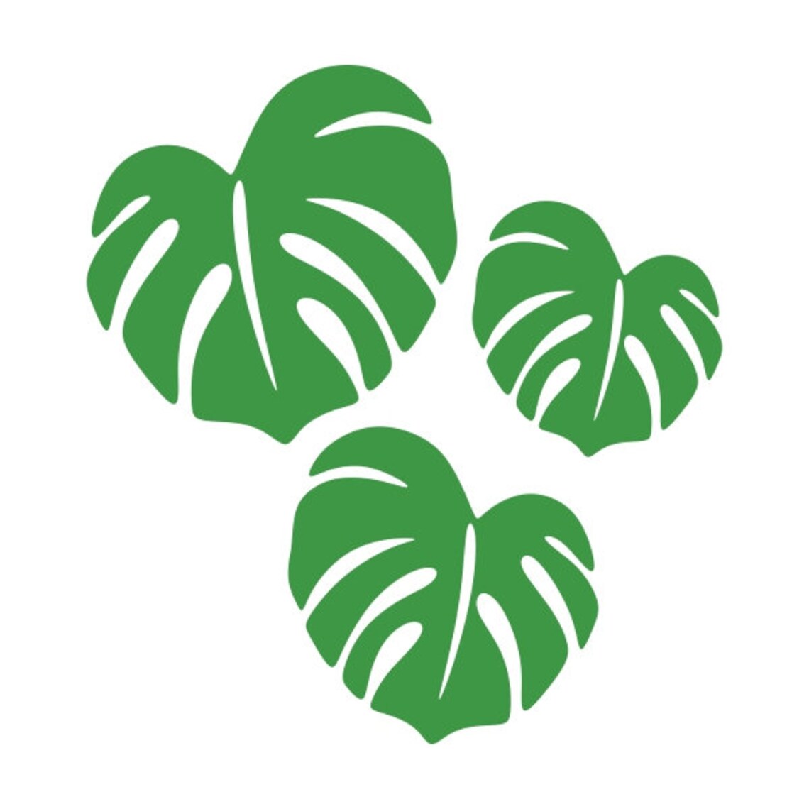 Monstera Leaves Cuttable Design PNG DXF SVG & eps File for | Etsy