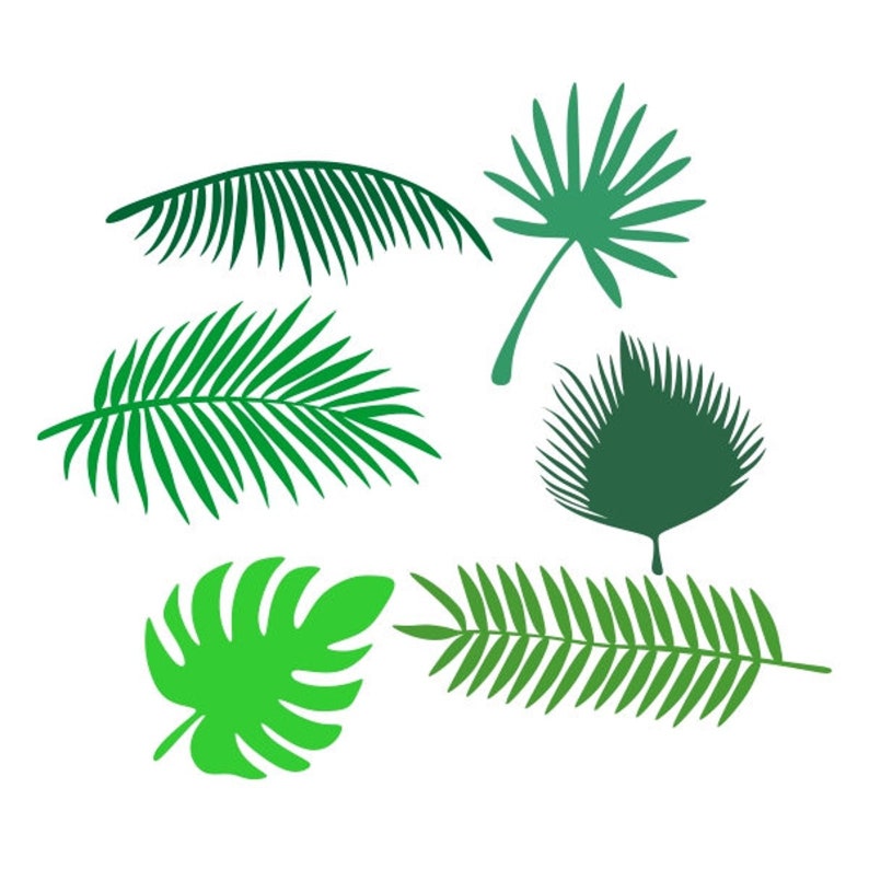 Palm Fern Tree Leaf Cuttable Design PNG DXF SVG & Eps File for - Etsy